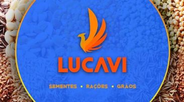 Lucavi Sementes e Rações para Pássaros, R. Sampaio Moreira, 127 - Brás ...